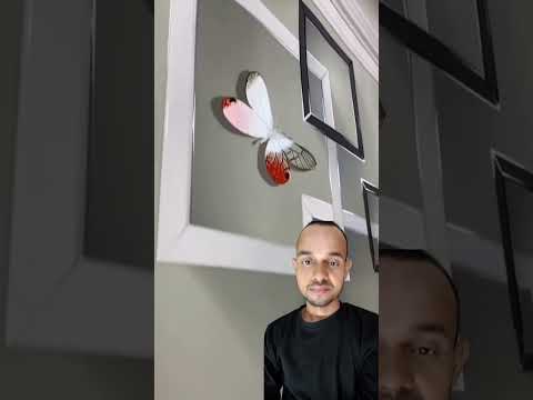 3D wallpaper only rs 200 #gadgets