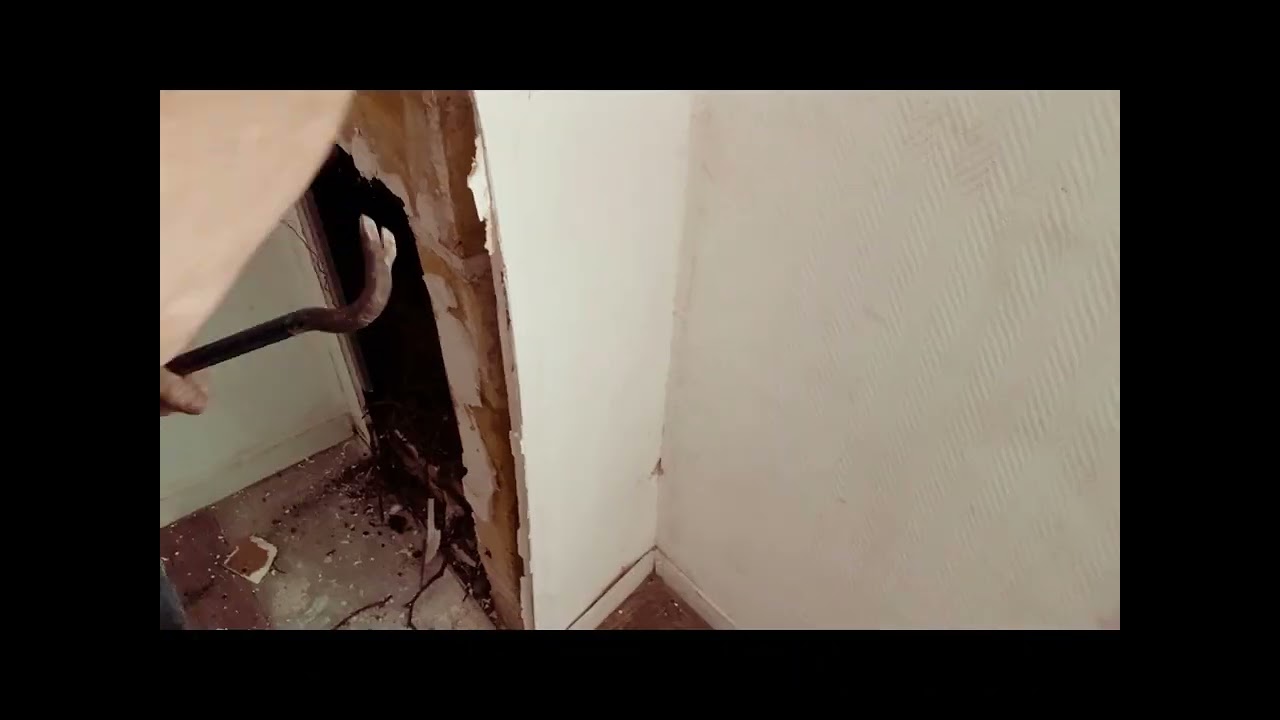 Finding an original fireplace when we thought all was lost!