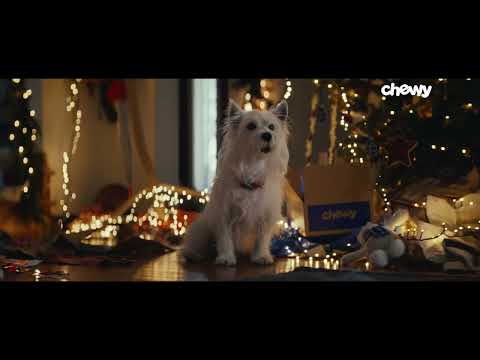 The Chewy Talking Pets Christmas Commercials – Out of the Wilderness