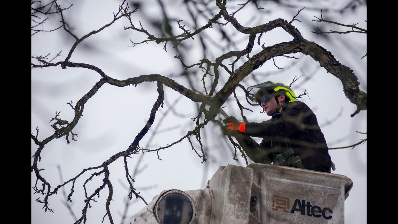 Portland Parks & Recreation's Urban Forestry team helps keep Portland moving!