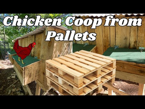 👉 DIY Pallet Chicken Coop | Easy, Cheap & Durable Backyard Chicken Coop Build