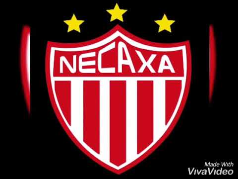 EQUIPOS DE LA LIGA MX ( 2019 - 2020 )