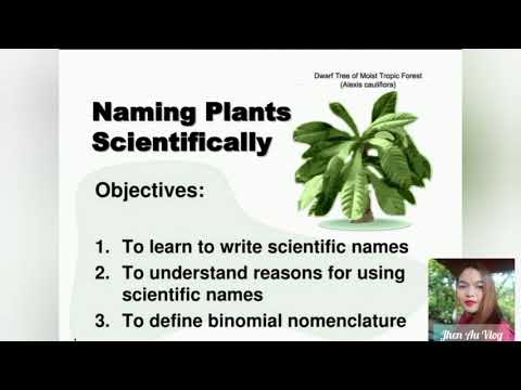 Rules in Writing Scientific Names |Jhen Au Vlog
