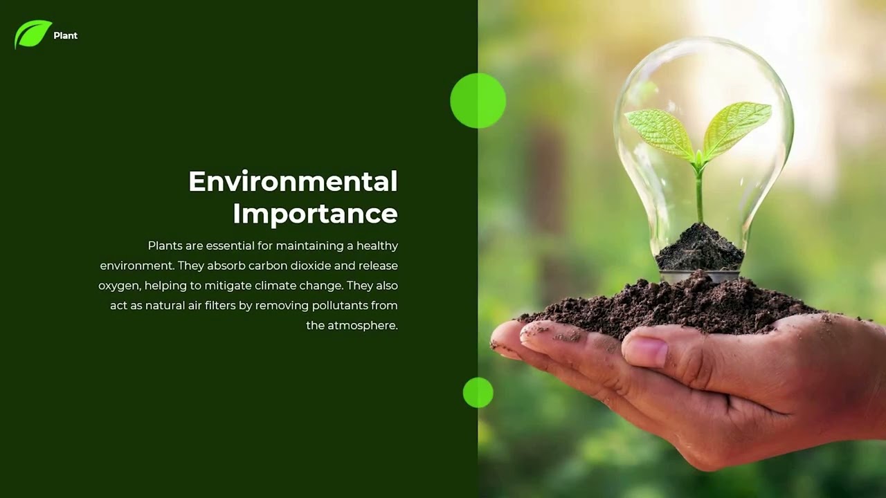 Green Colored Plant PowerPoint Presentation