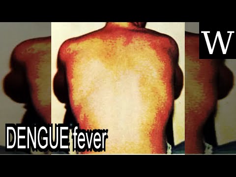 DENGUE fever - WikiVidi Documentary