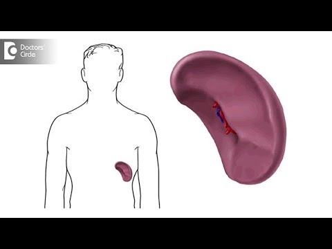 What causes a spleen to enlarge? Can you a shrink an enlarged spleen? - Dr. Lorance Peter