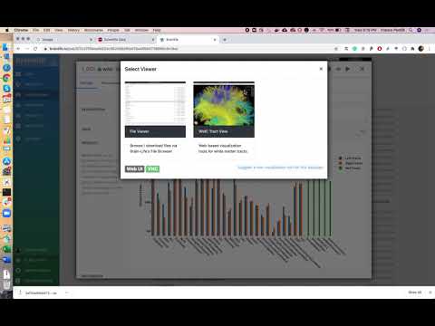 Open a brainlife.io publication record from the data deposition page of Nature Scientific Data