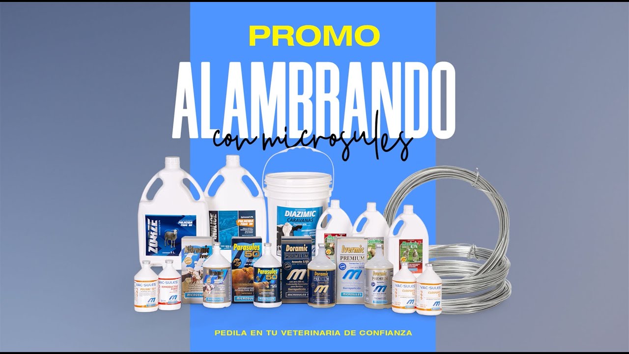 PROMO ALAMBRANDO CON MICROSULES
