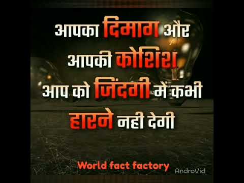 Motivational quotes World fact factory#short #motivation #youtube #shortfeed #trusttheexperts #trend
