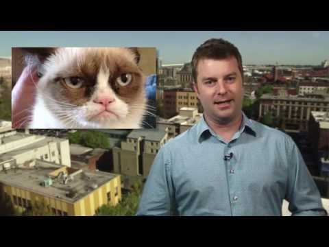 DT Daily: The password pill, Pinterest allows nudity, Grumpy Cat the Movie