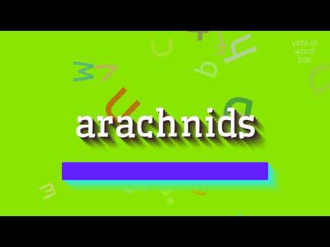 How to say "arachnids"! (High Quality Voices)