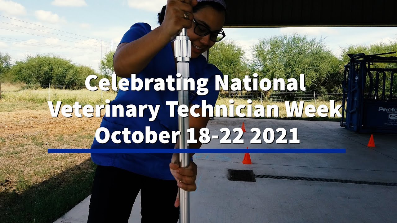 Celebrating National Veterinary Technician Week October 18 - 22 2021
