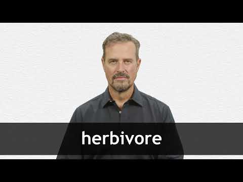 How to pronounce HERBIVORE in American English