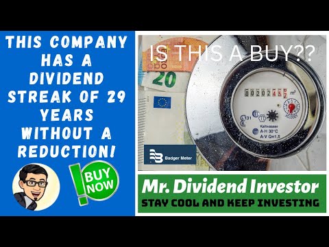 Is This Stocks Dividend-Paying History Making Company a Buy?
