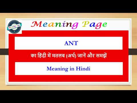 ANT - meaning in hindi / ANT - का हिंदी में मतलब (अर्थ) जानें
