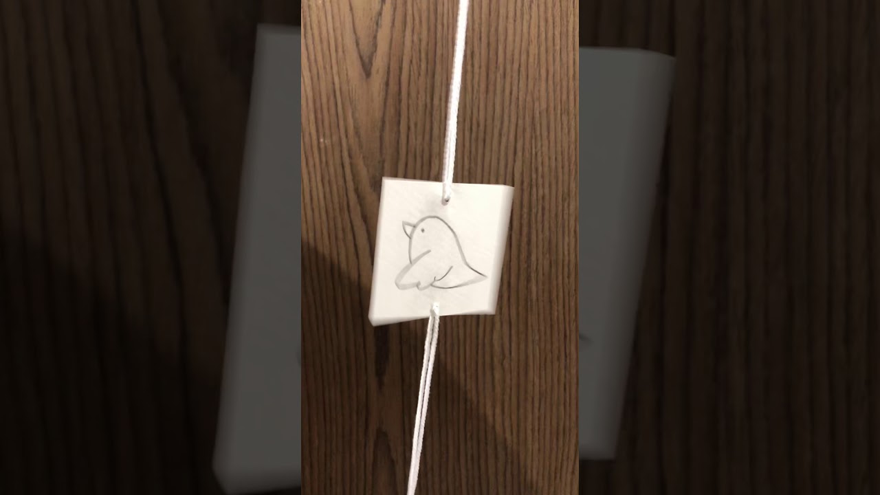 Flying Bird Thaumatrope