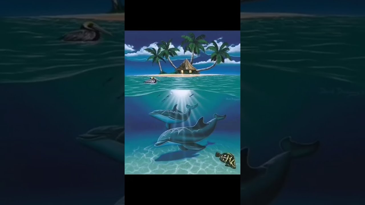 TOP App for live Aquarium Wallpapers