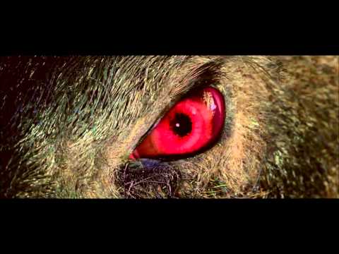 西游·降魔篇 Journey to the West (2013)