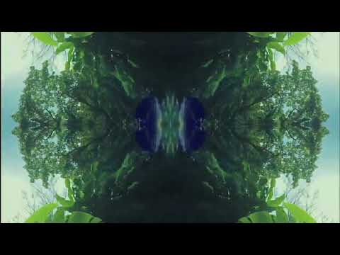 JOEL GOODMAN - Joel Goodman - An Exquisite Moment (Mystery of Trees ...