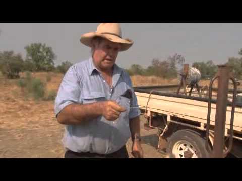 4.2 Different types of fencing wire