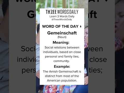 Meanings of Soupcon, Gemeinschaft, and Matutinal. #english #vocabulary #learnenglish #shorts