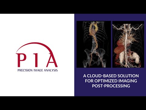 PIA Explainer Video 2020