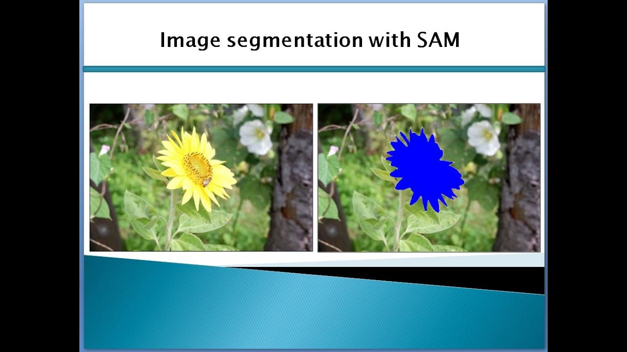 How to use SAM for image segmentation