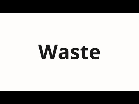 How to pronounce Waste