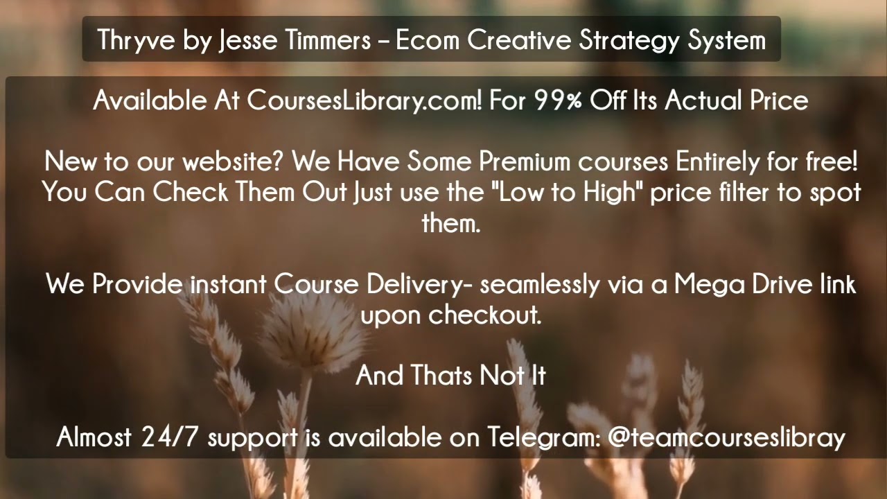 Thryve by Jesse Timmers – Ecom Creative Strategy System