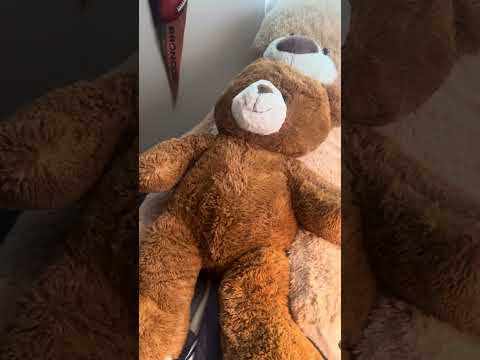 My Teddy Bear collection🧸