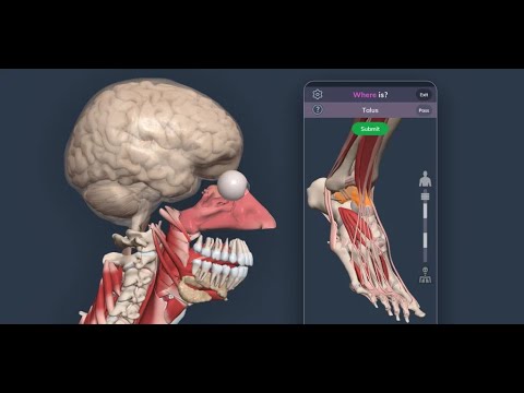 Primal Pictures 3D Anatomy Quiz App