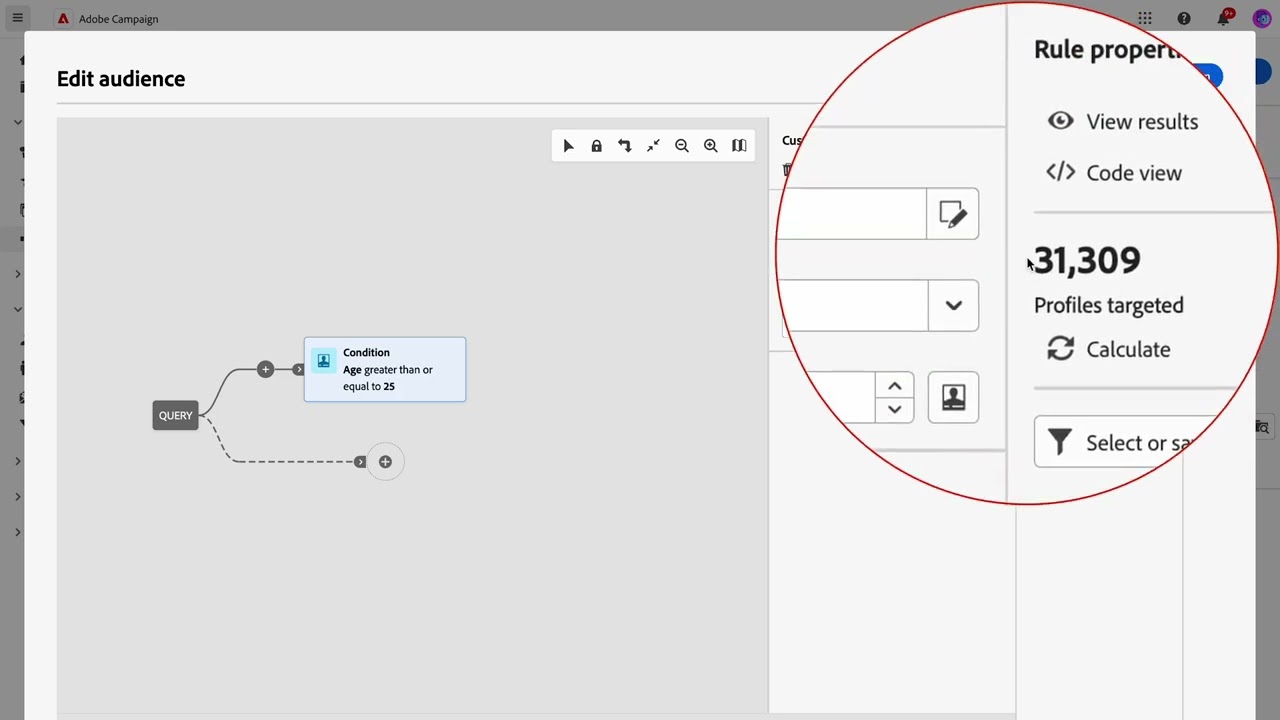 Create Targeting Activity in a Workflow (Build an Audience) | Adobe Campaign