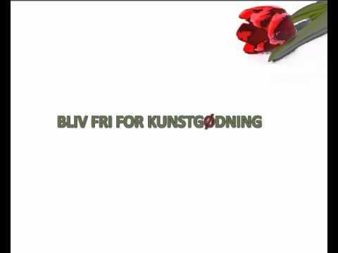 Logos | 8.V Reklamer