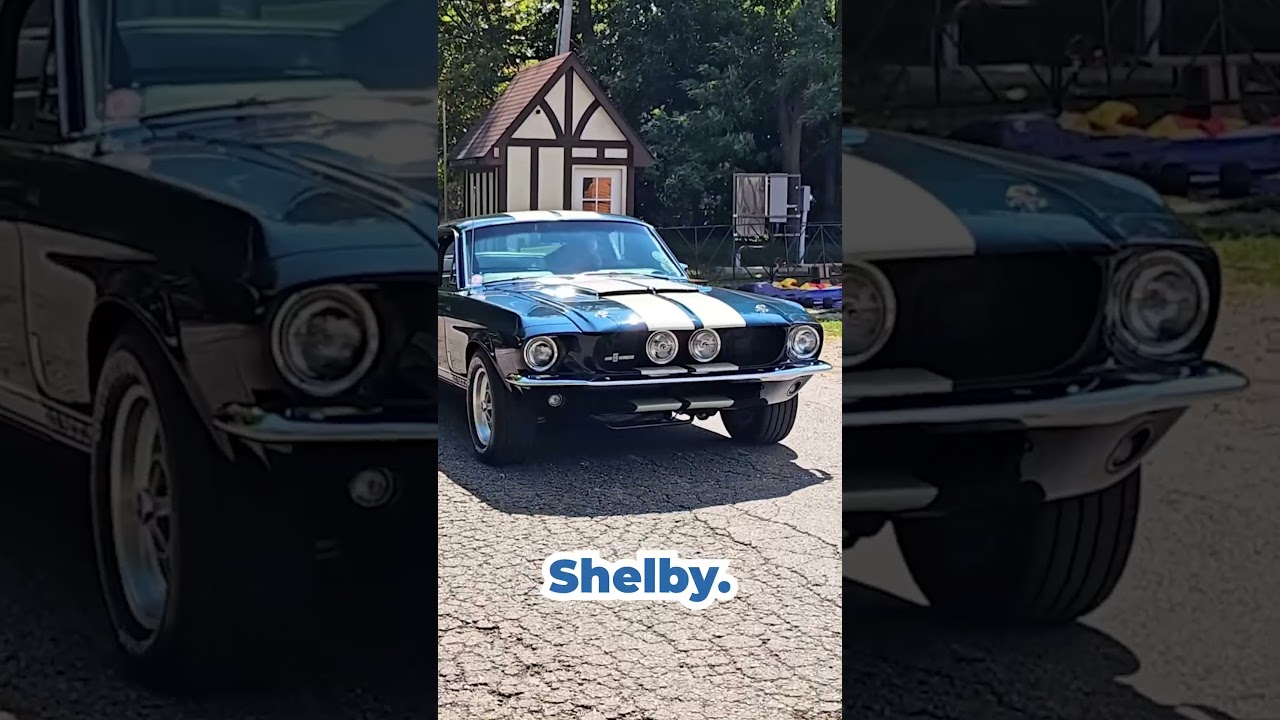The 1960s Muscle Car That Ford Built to Crush #gt500 #shelby #legend
