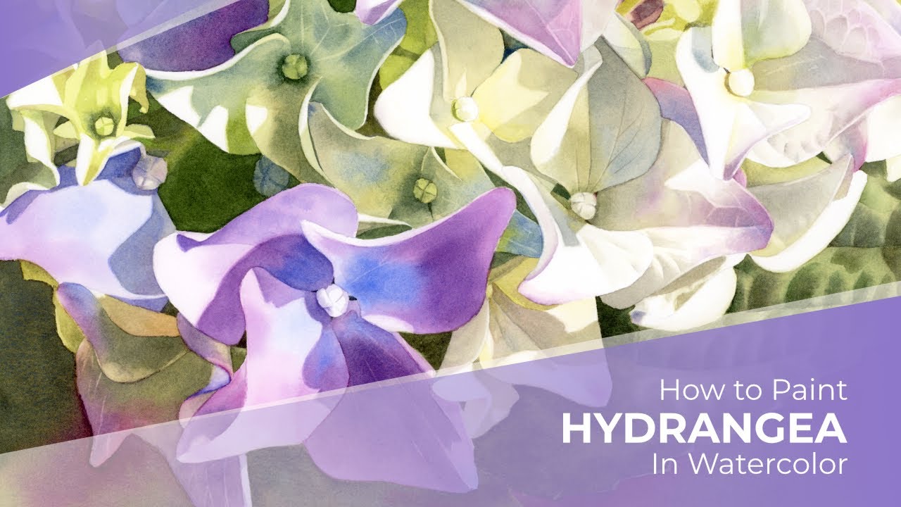 How to Paint Hydrangea in Watercolor - Tutorial Preview
