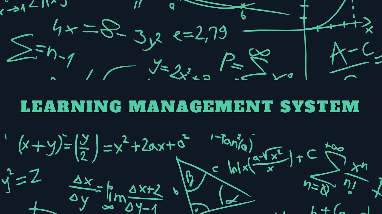 Learning Management System 101: All You Need To Know