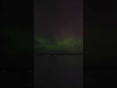 Aurora borealis (Northern lights) 2024 #northernlights #michigan #aurora #gaylord