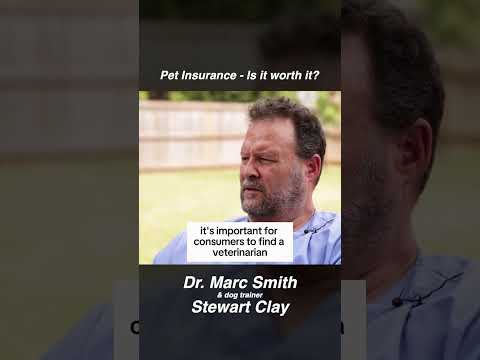 Should I Buy Pet Insurance? Is It Worth It? By Marc Smith, DVM, MS