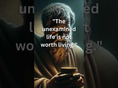 Is Your Life Examined? | #philosophy | #socrates