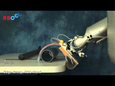 Exploitation of Environmental Constraints in Human and Robotic Grasping