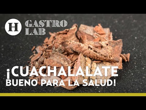 ¡Cura la colitis con el cuachalalate! Investigadores de la UNAM destacan sus beneficios