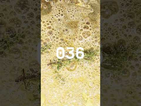 The Juicy Sizzle 037  #sizzle #sizzling #cooking #butter