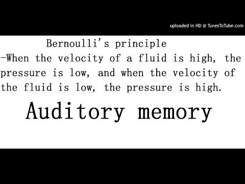 Bernoulli's principle definition for SPM students (Auditory memory)