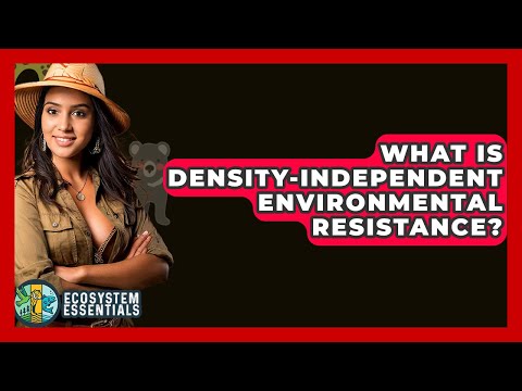What Is Density-Independent Environmental Resistance? - Ecosystem Essentials