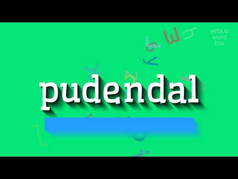 How to say "pudendal"! (High Quality Voices)