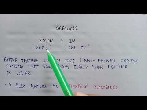 what are saponins | saponins in pharmacognosy | triterpene glycosides pharmacognosy