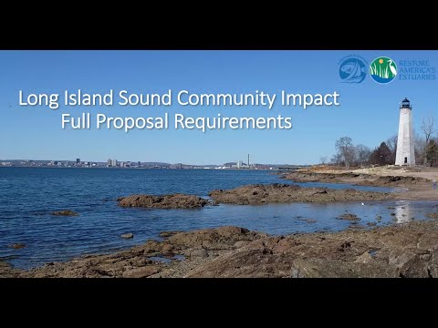 Reviewing LISCIF 2025 Full Proposal Requirements