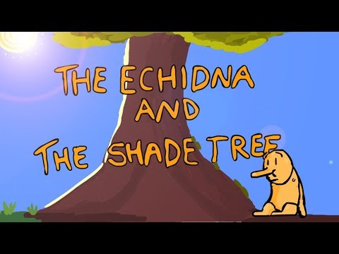 The Echidna and the Shade Tree