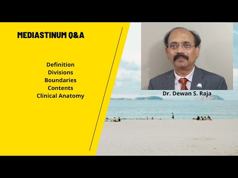 Mediastinum Q&A