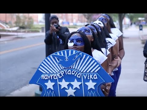🕊Greek Life -Zeta Phi Beta (Divine Nine)